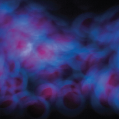 SETDGF - Set of 5 Specialty Multi-Color "Eflect" Gels for "M" Size LED ...